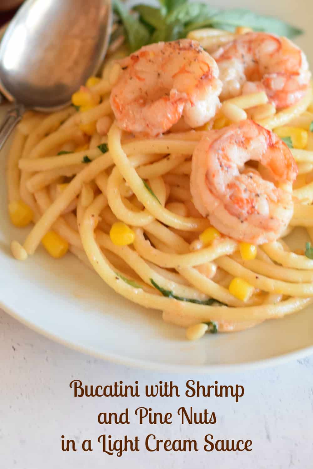 Bucatini with Shrimp and Pine Nuts in a Light Cream Sauce - LindySez ...